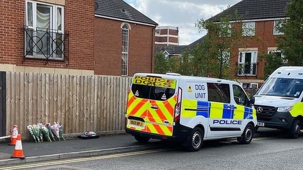 Bedford stab killer 'wanted to frighten' victim, trial hears - BBC News