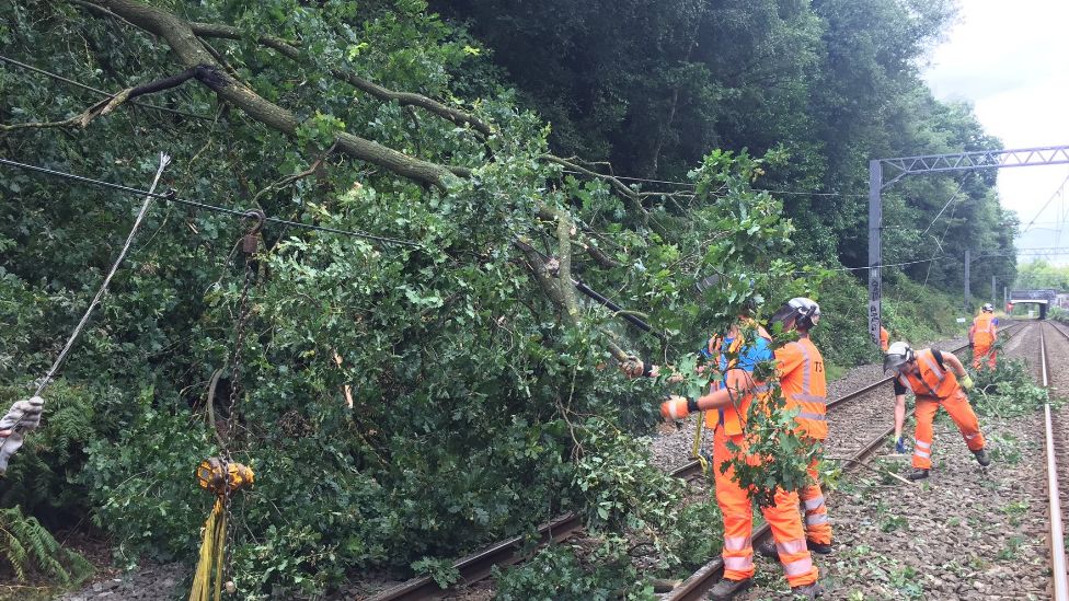 Tree fall and landslip disrupts trains for second day - BBC News