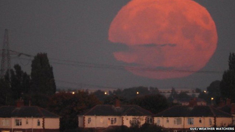 Harvest moon illuminates the sky - BBC Weather