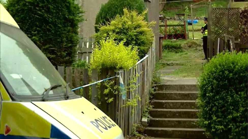 Man guilty of rape and murder of missing woman Patricia Henry - BBC News