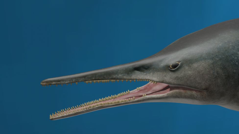 Ichthyosaur: Scientists discover huge ancient swordfish-like creature ...
