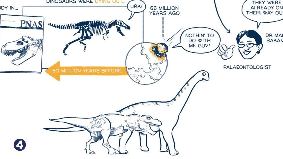 World's first dinosaur brain fossil discovered - BBC Newsround