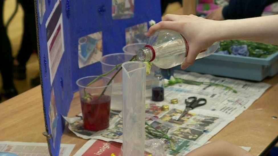 Easing the transition to 'big school' - BBC News