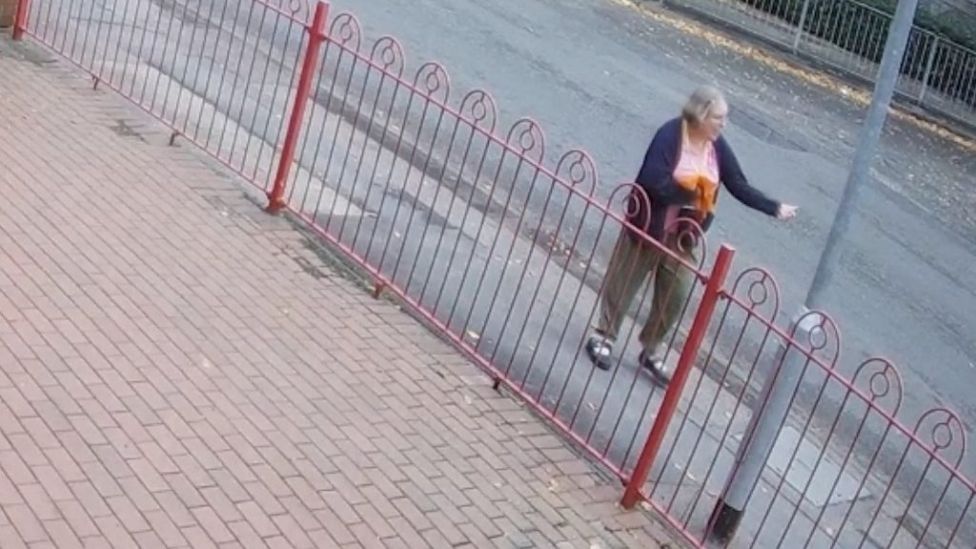 Auriol Grey: Cycleways could be reviewed after manslaughter - BBC News