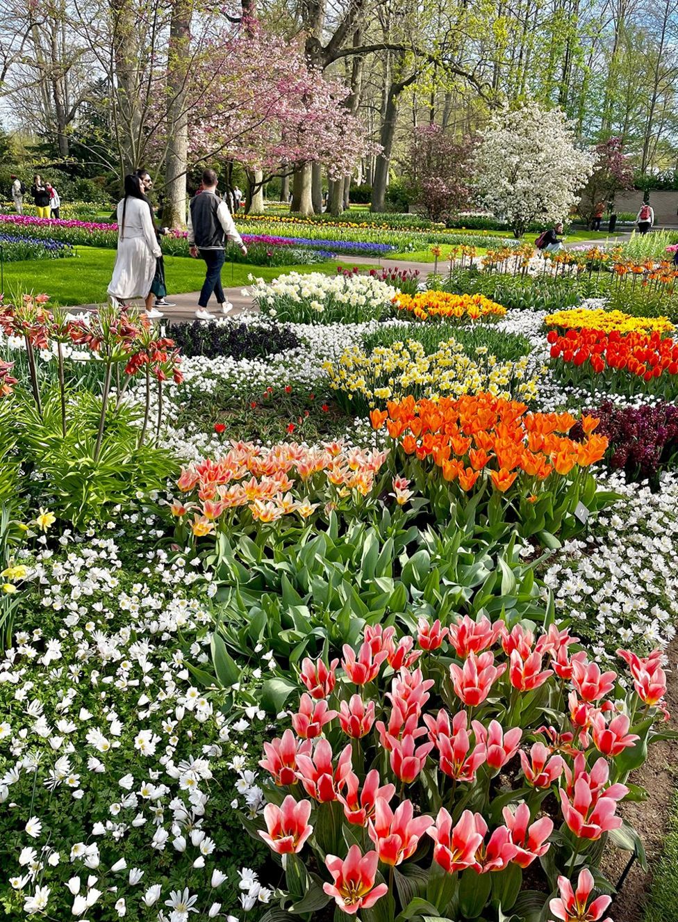 Your pictures on the theme of 'spring walks' - BBC News