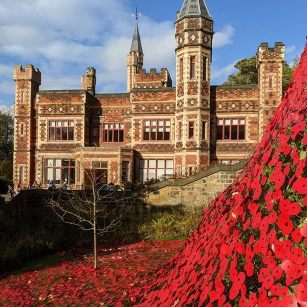 Full-size poppy soldier among North-East remembrance displays - BBC News