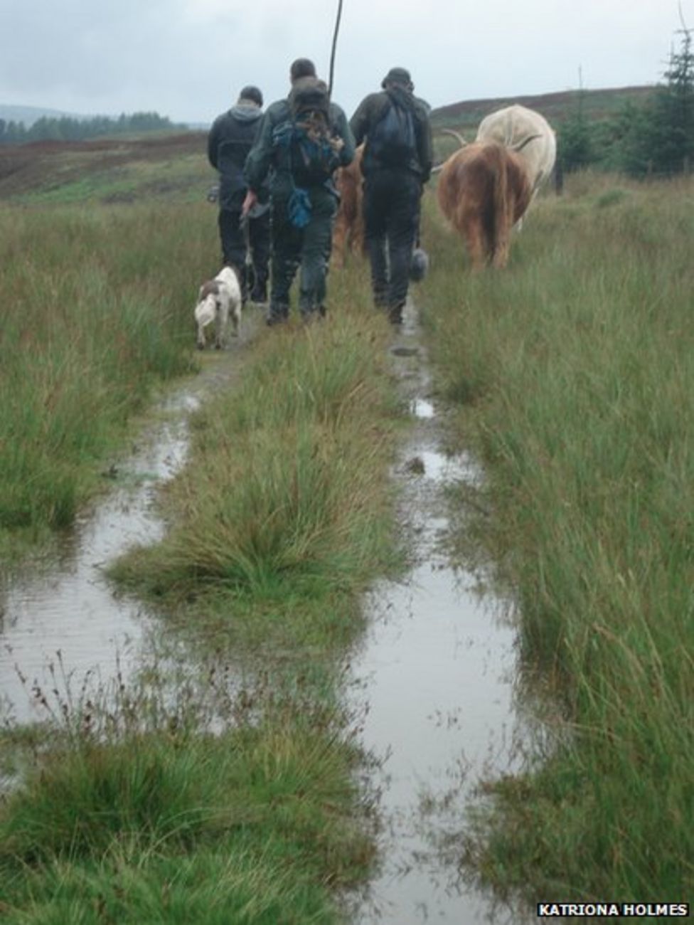In pictures: The Droving Project - BBC News