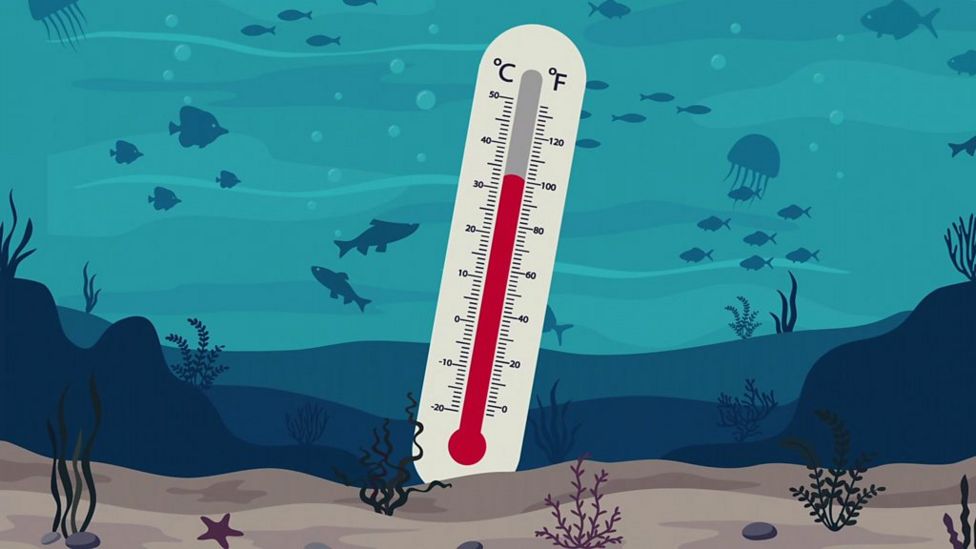 Iceberg size of Greater London breaks off Antarctica's Brunt Ice Shelf ...