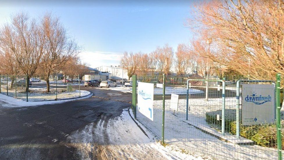Jobs lost after seafood producer Dawnfresh collapses - BBC News