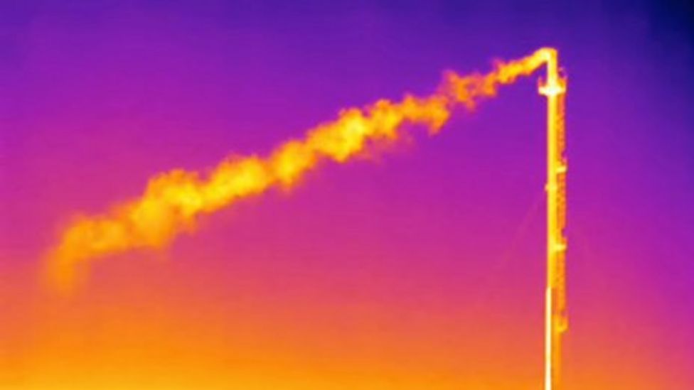 Climate change: New Zealand's plan to tax cow and sheep burps - BBC News