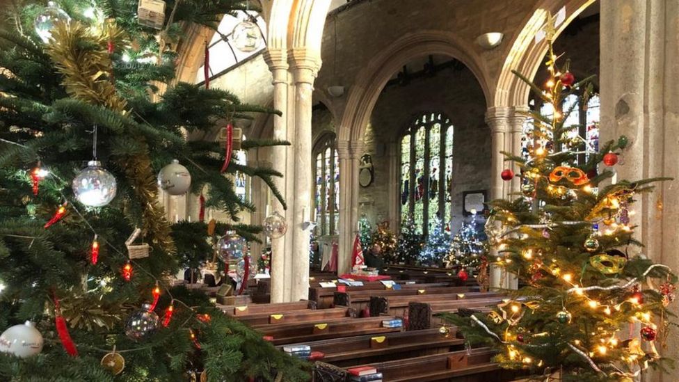 Hundreds of Christmas trees chipped for community schemes in East Devon ...
