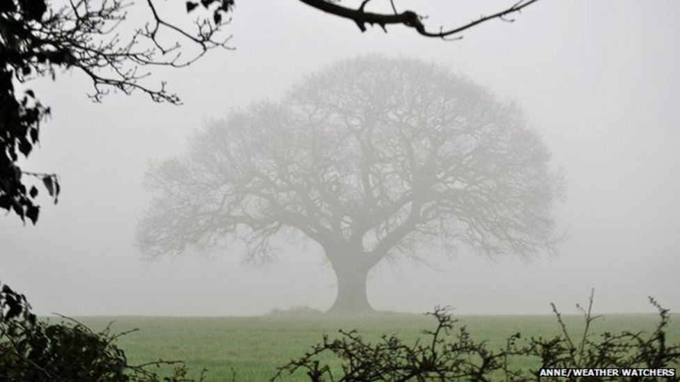 Gallery: One foggy Tuesday morning - BBC Weather