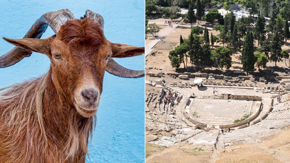 The Vocabularist: 'Tragedy' originally meant 'goat-song' - BBC News