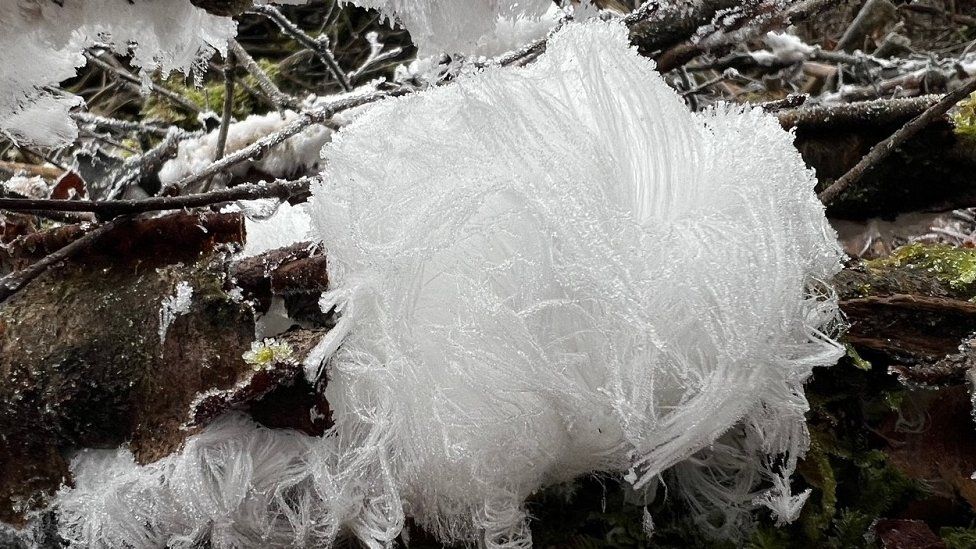 NI weather: Freezing conditions give rise to rare ice displays - BBC News