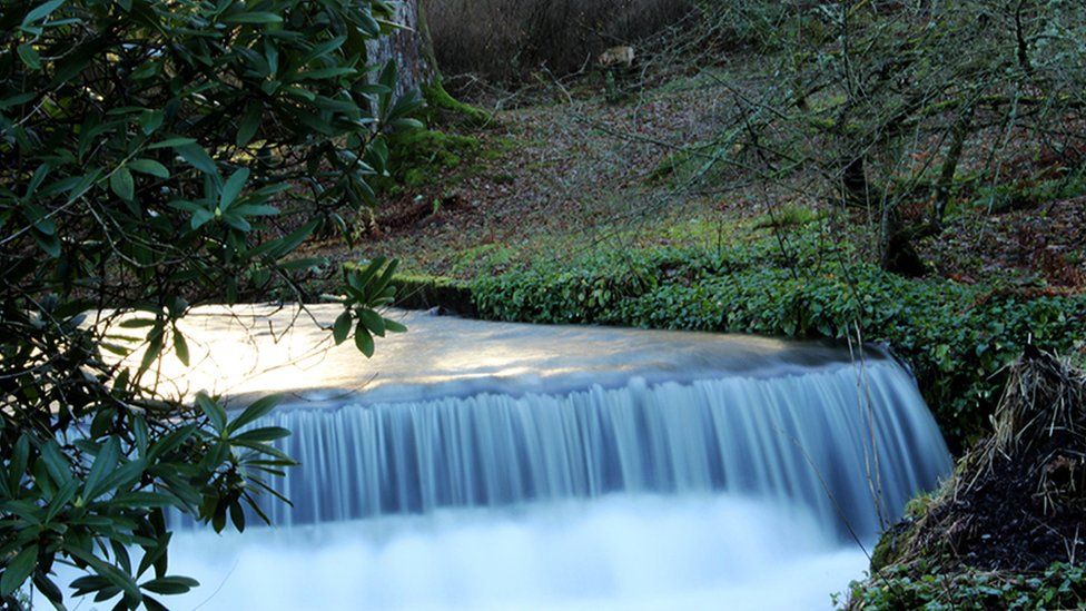 Your pictures of Scotland: 25-31 December - BBC News