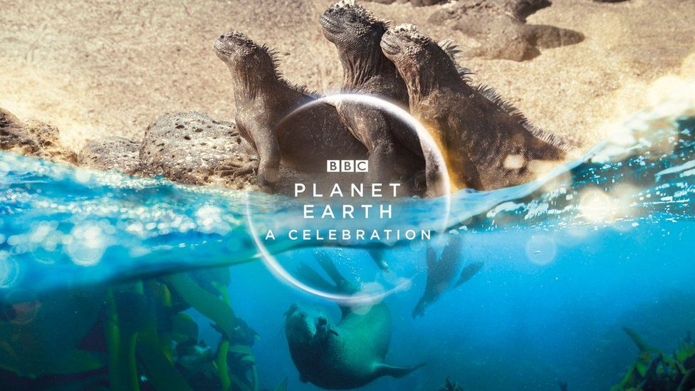 Planet Earth: Sir David Attenborough and rapper Dave team up - BBC ...