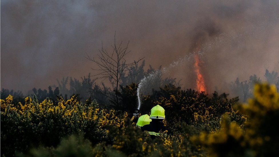 In pictures: Fire crews tackle Guisborough gorse blaze - BBC News