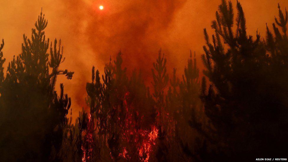 In pictures: Wildfires in Chile continue to rage - BBC Newsround