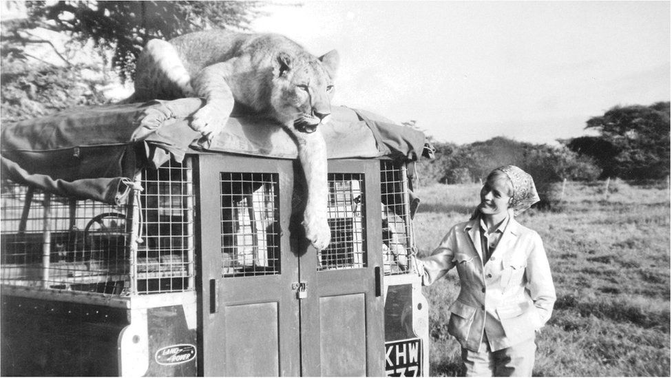 Defenders of the famous - Land Rover-loving celebrities - BBC News