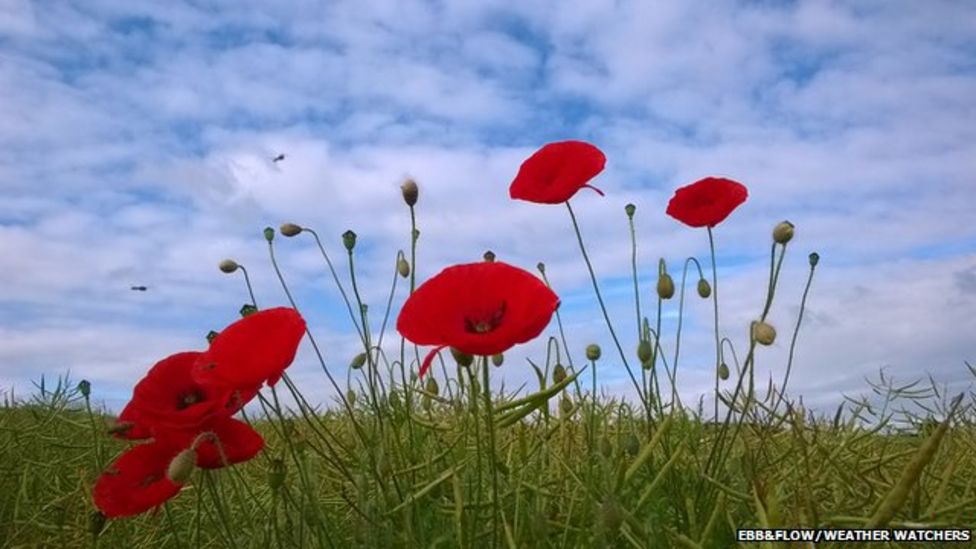 Capturing the Ebb&Flow - BBC Weather