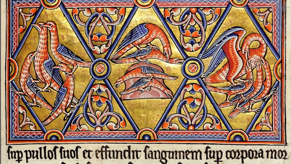 Images shine light on ancient Aberdeen Bestiary - BBC News