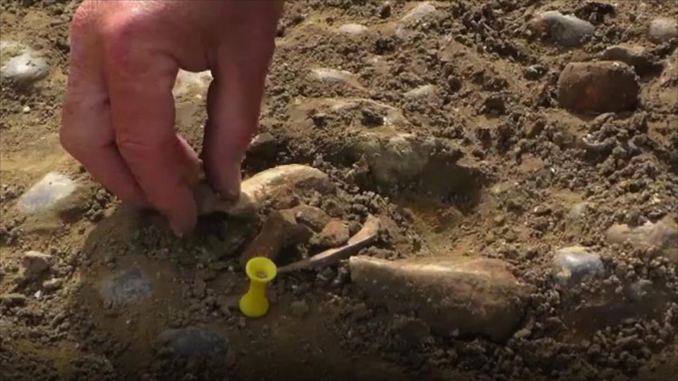 Bronze handle suggests 'lions used' in Roman Britain executions - BBC News