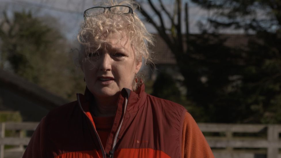 Stolen dogs: Owner turns pet detective after spotting pup - BBC News