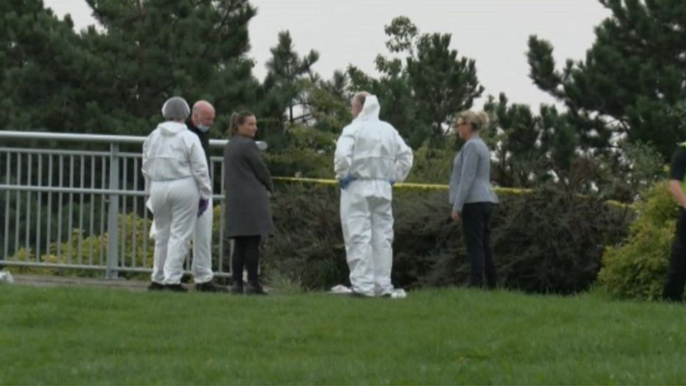 Arrest after man's body found in bushes near motorway in Hunslet - BBC News