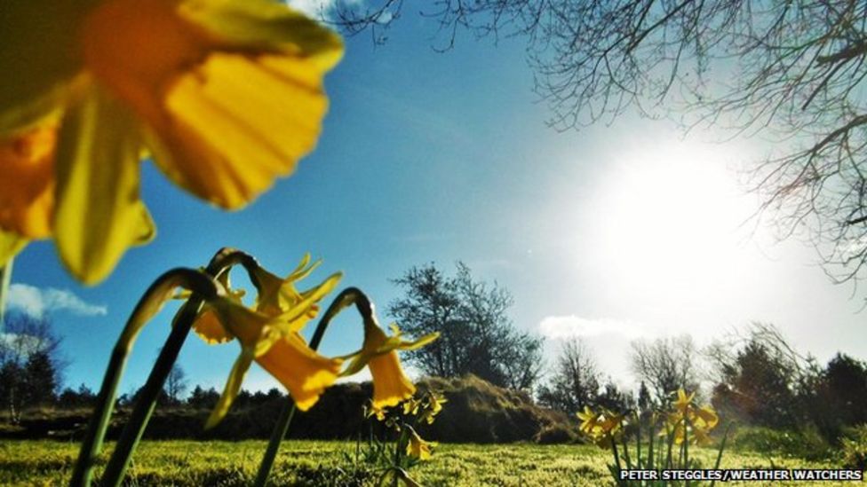 Spring's mild days and cold nights - BBC Weather