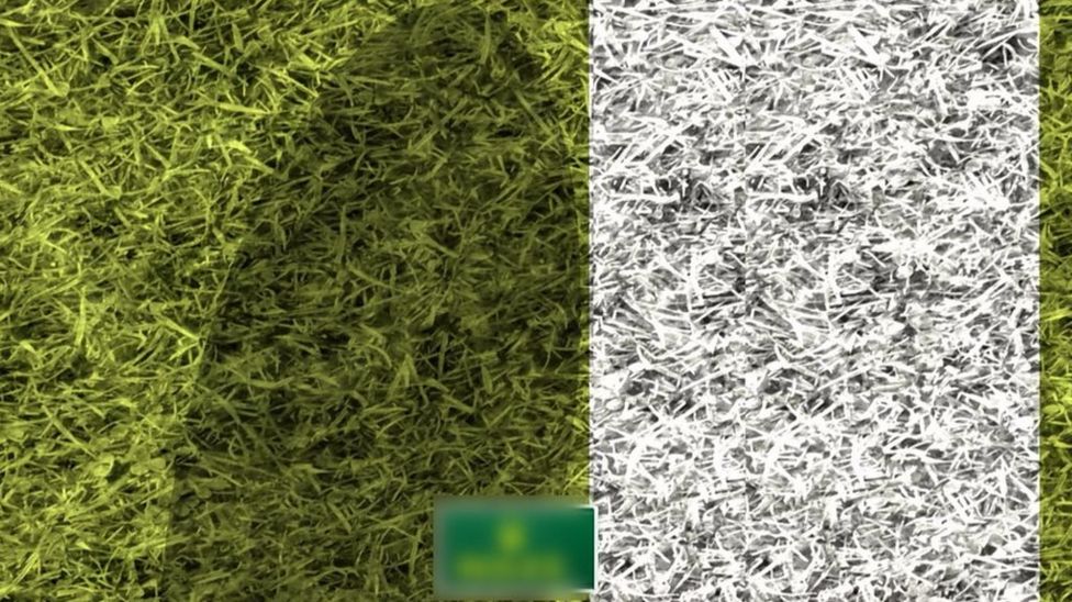 Hawk-Eye to replace line judges at Next Gen Finals in Milan - BBC Sport