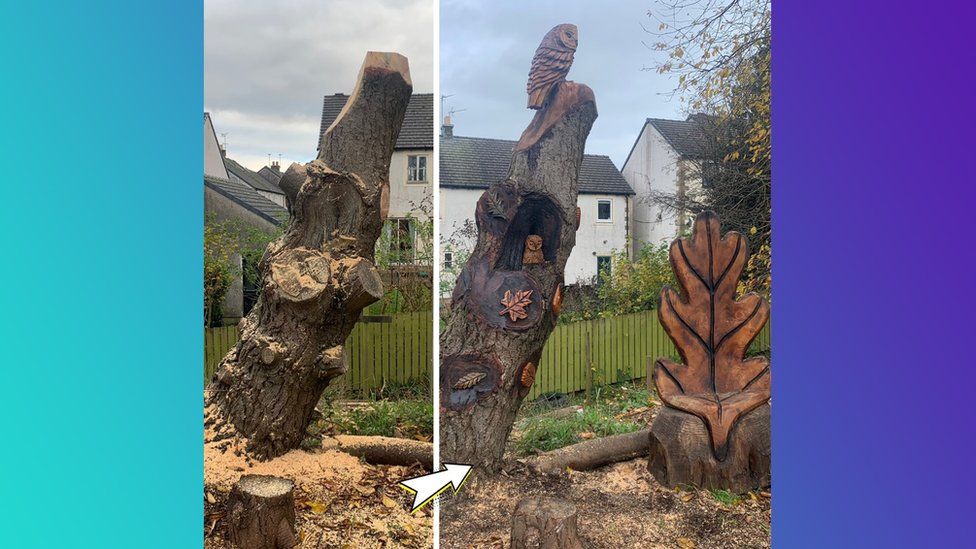Trees that fell in UK storms given new life - BBC Newsround