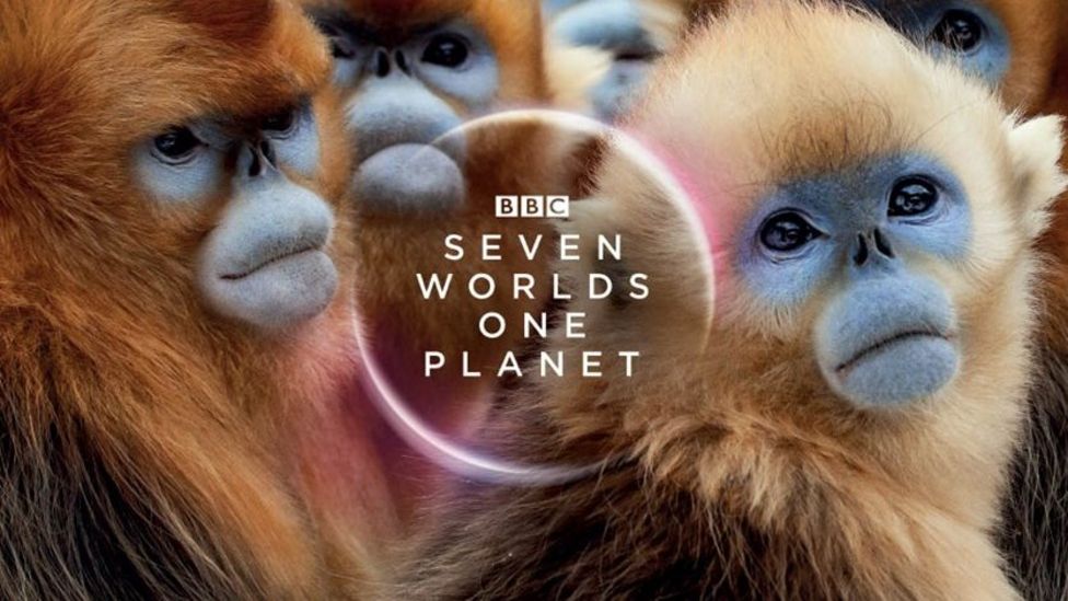 A Perfect Planet: What do we know about Sir David Attenborough's new ...