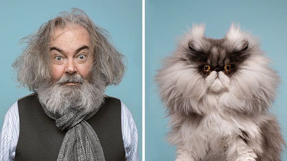 Meet the cats with human lookalikes! - BBC Newsround