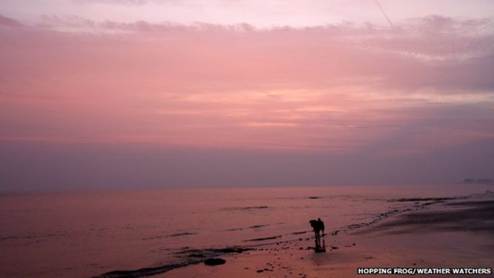 Weather Watcher profile: Hopping Frog - BBC Weather