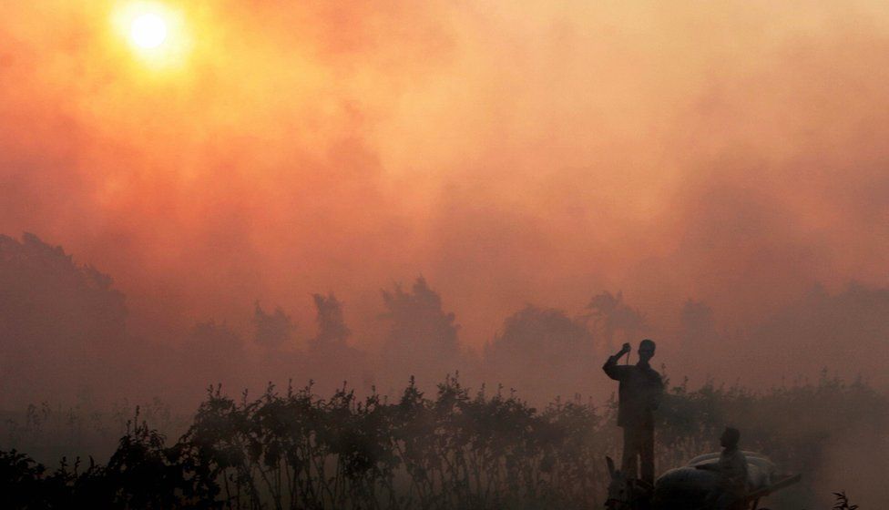 Air pollution: New attempts to tackle Cairo’s black cloud - BBC News