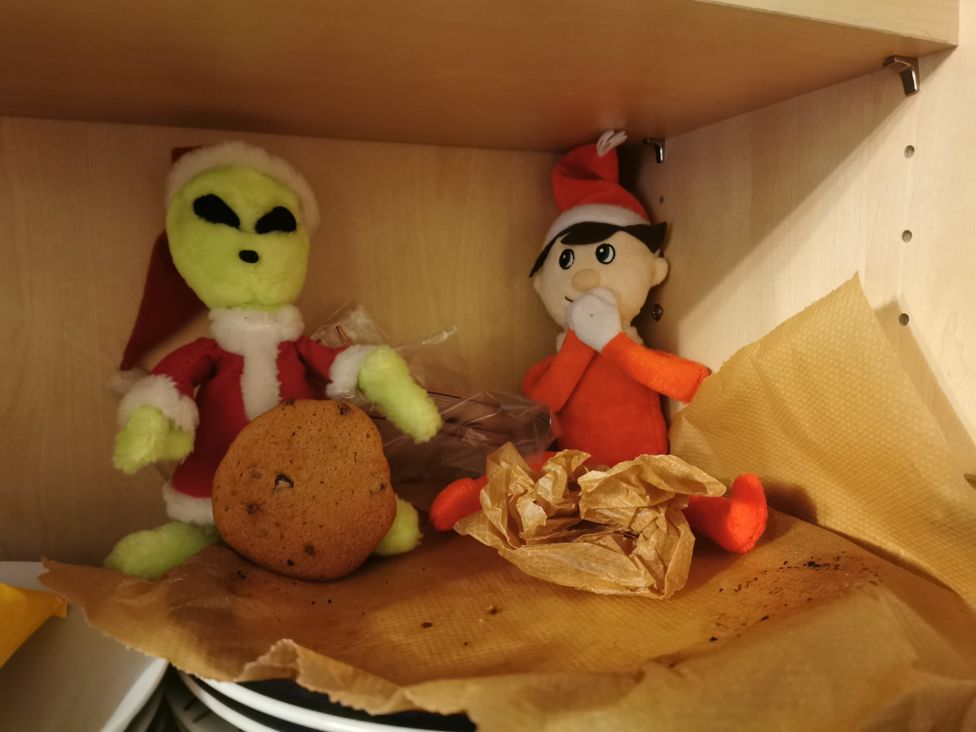 What's been your elf's best trick? - BBC Newsround
