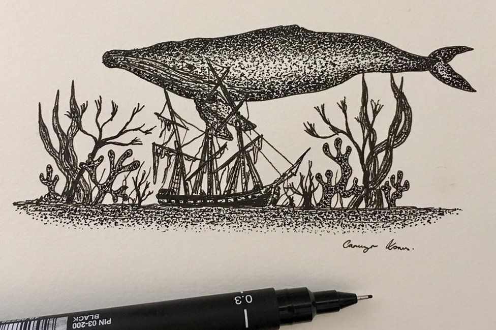 Carwyn Jones: O'r Dyn Gwyllt i artist y dannedd morfil - BBC Cymru Fyw