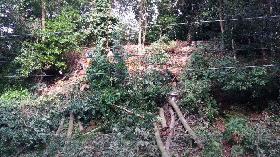 Tree fall and landslip disrupts trains for second day - BBC News