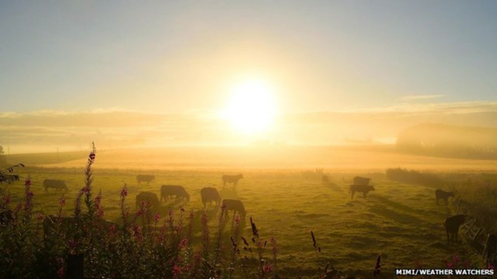 One day of Weather Watching - BBC Weather