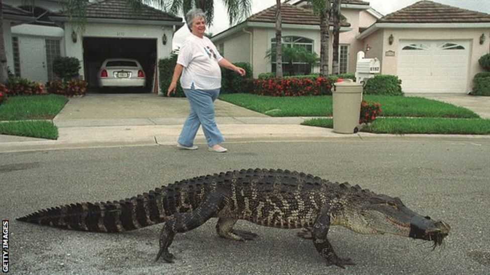 United States GP: Hamilton must win in 'weird' Austin to keep pressure ...