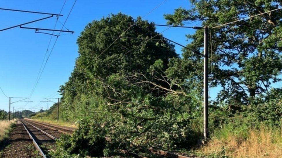 Greater Anglia train hits tree on main London to Norwich line - BBC News