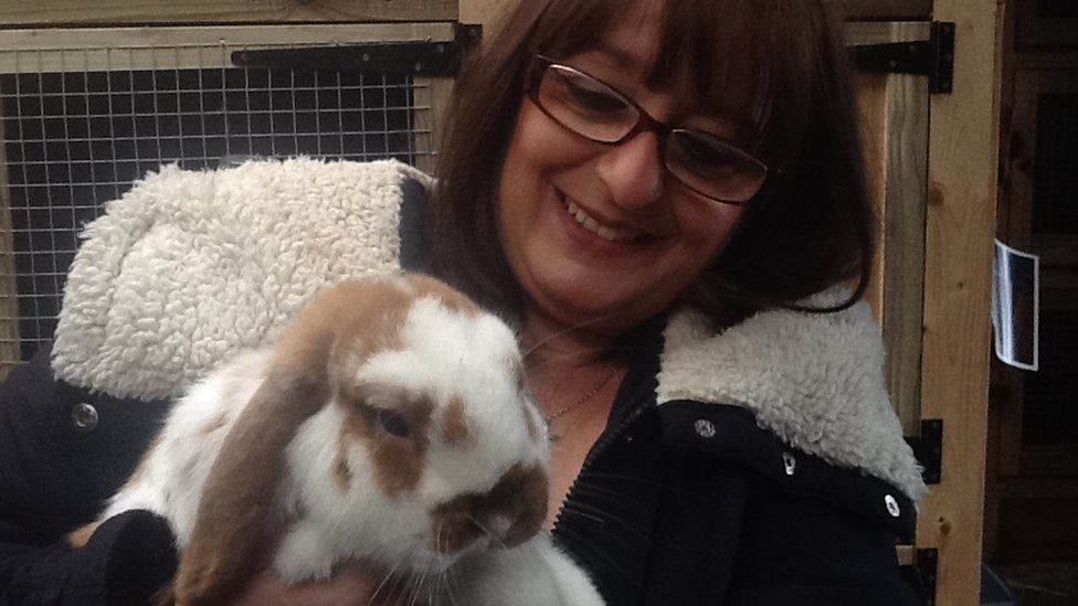 Jack the rabbit treated for aggressive behaviour - BBC News