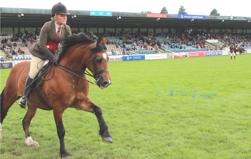 Royal Welsh Show: Pictures from the first day in Llanelwedd - BBC Cymru Fyw
