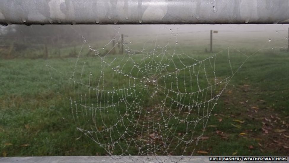 The webs are out! - BBC Weather