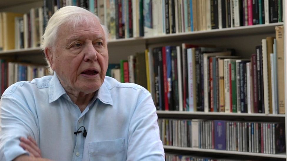 Sir David Attenborough receives second knighthood - BBC Newsround