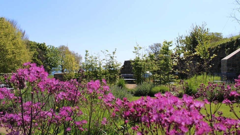 Peace garden opens in Guernsey - BBC News