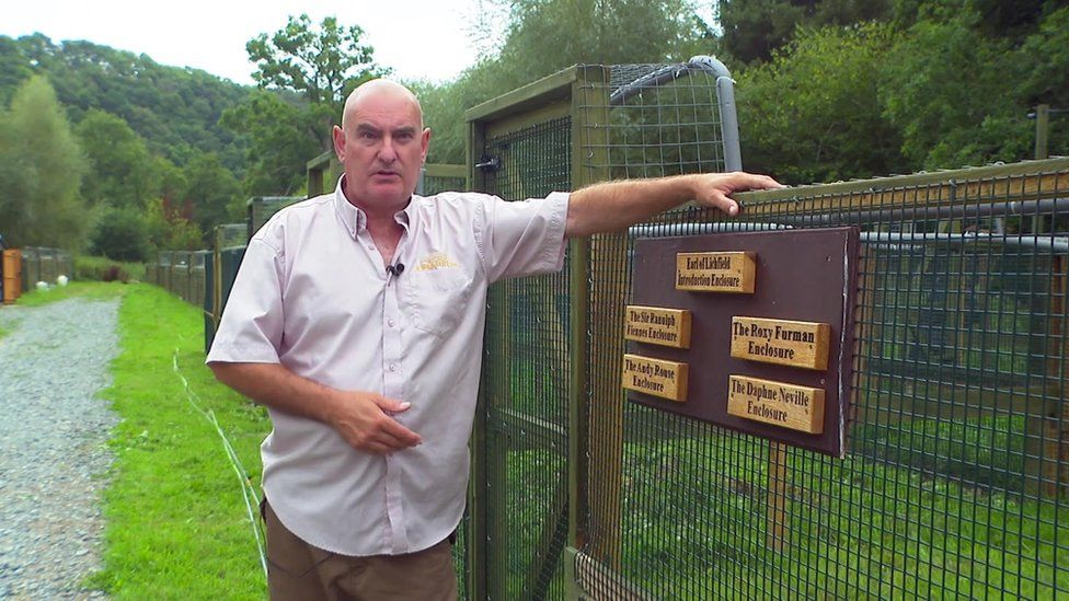 The rehabilitation centre in North Devon helps orphaned otters - BBC News