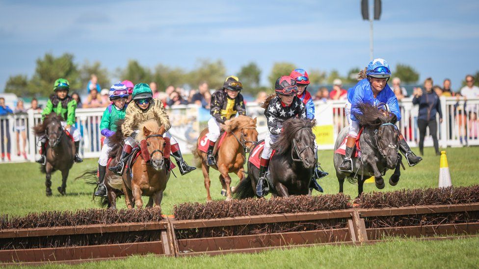 Sioe Môn yn canslo adran y ceffylau oherwydd pryder ffliw - BBC Cymru Fyw