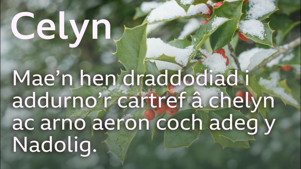 Y Nadolig mewn pump gair - BBC Cymru Fyw
