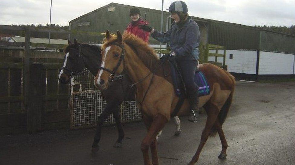 Road campaign to cut number of horses and riders killed - BBC News